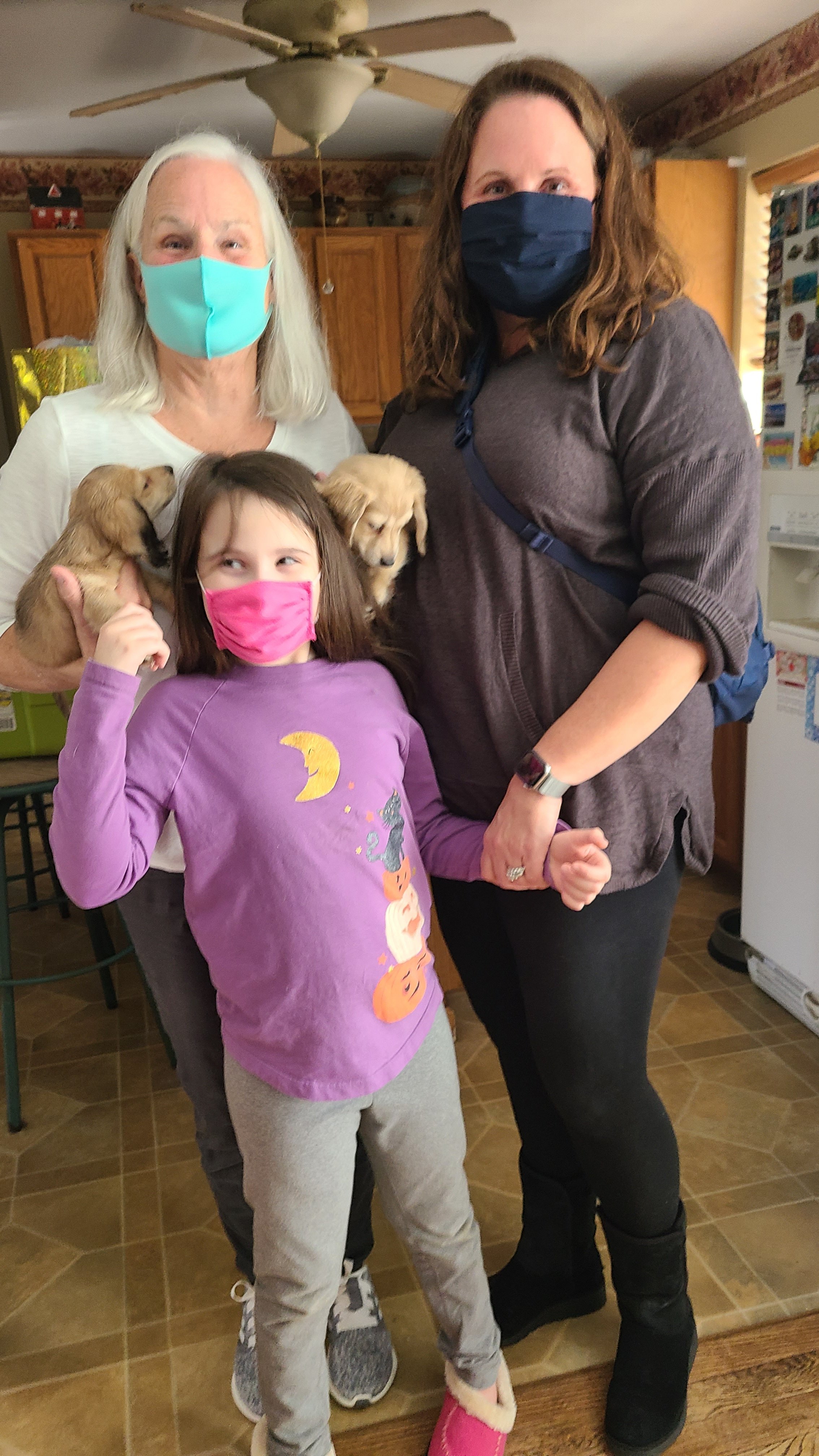 Pupdates from our puppy families ️ – AKC Infinity Dachshunds