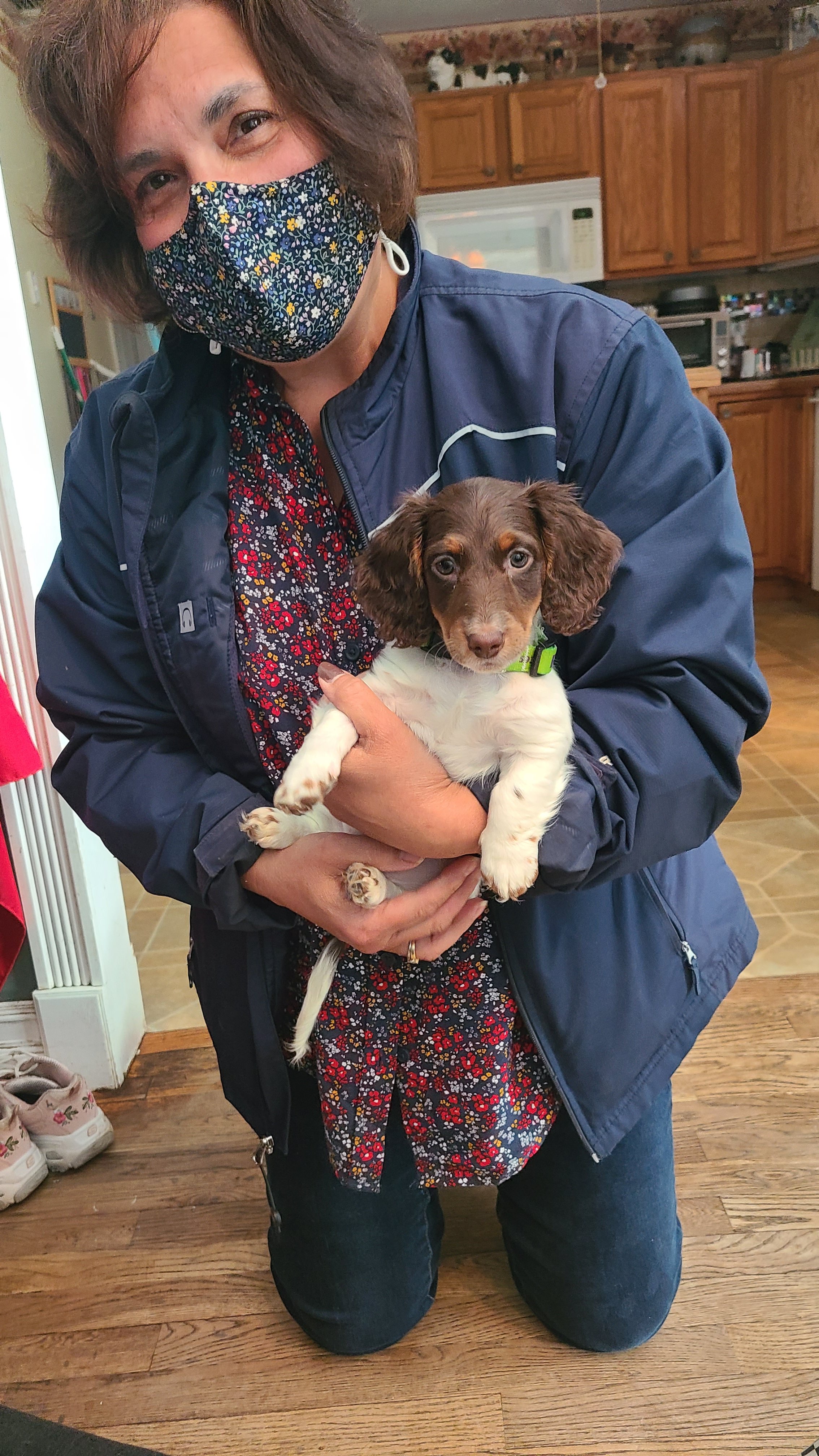 Pupdates from our puppy families ️ – AKC Infinity Dachshunds