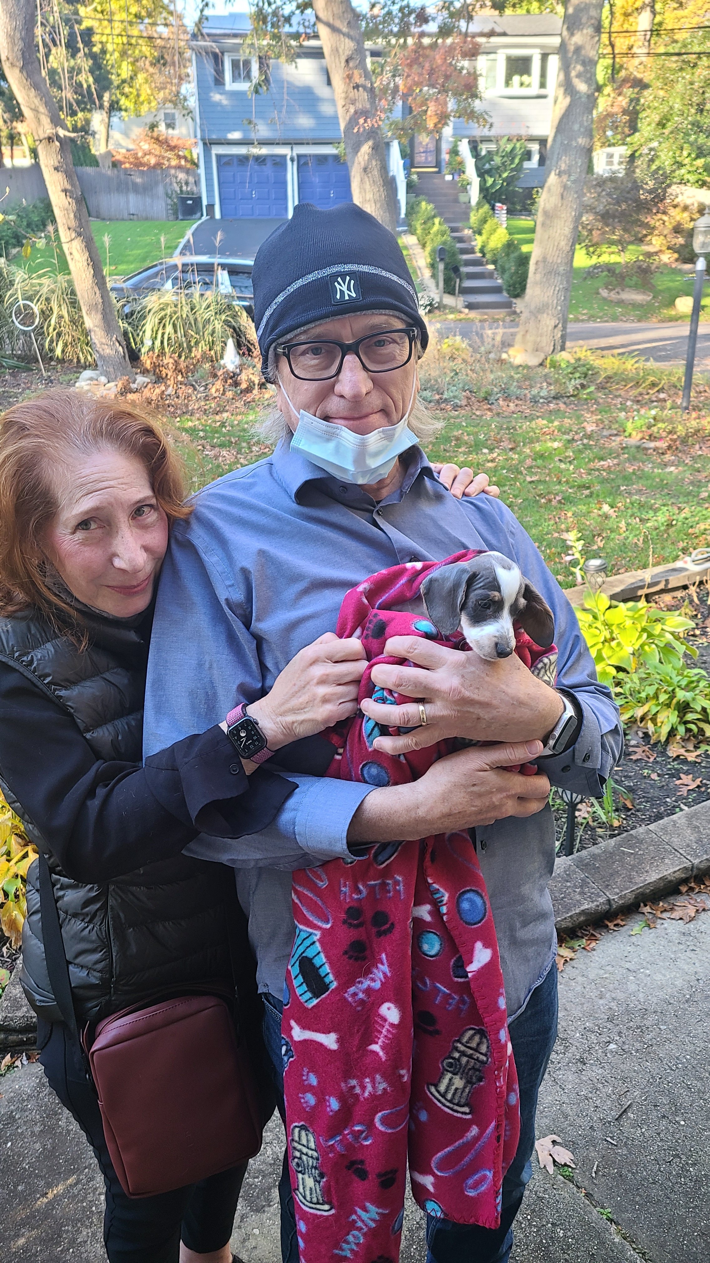 Pupdates from our puppy families ️ – AKC Infinity Dachshunds