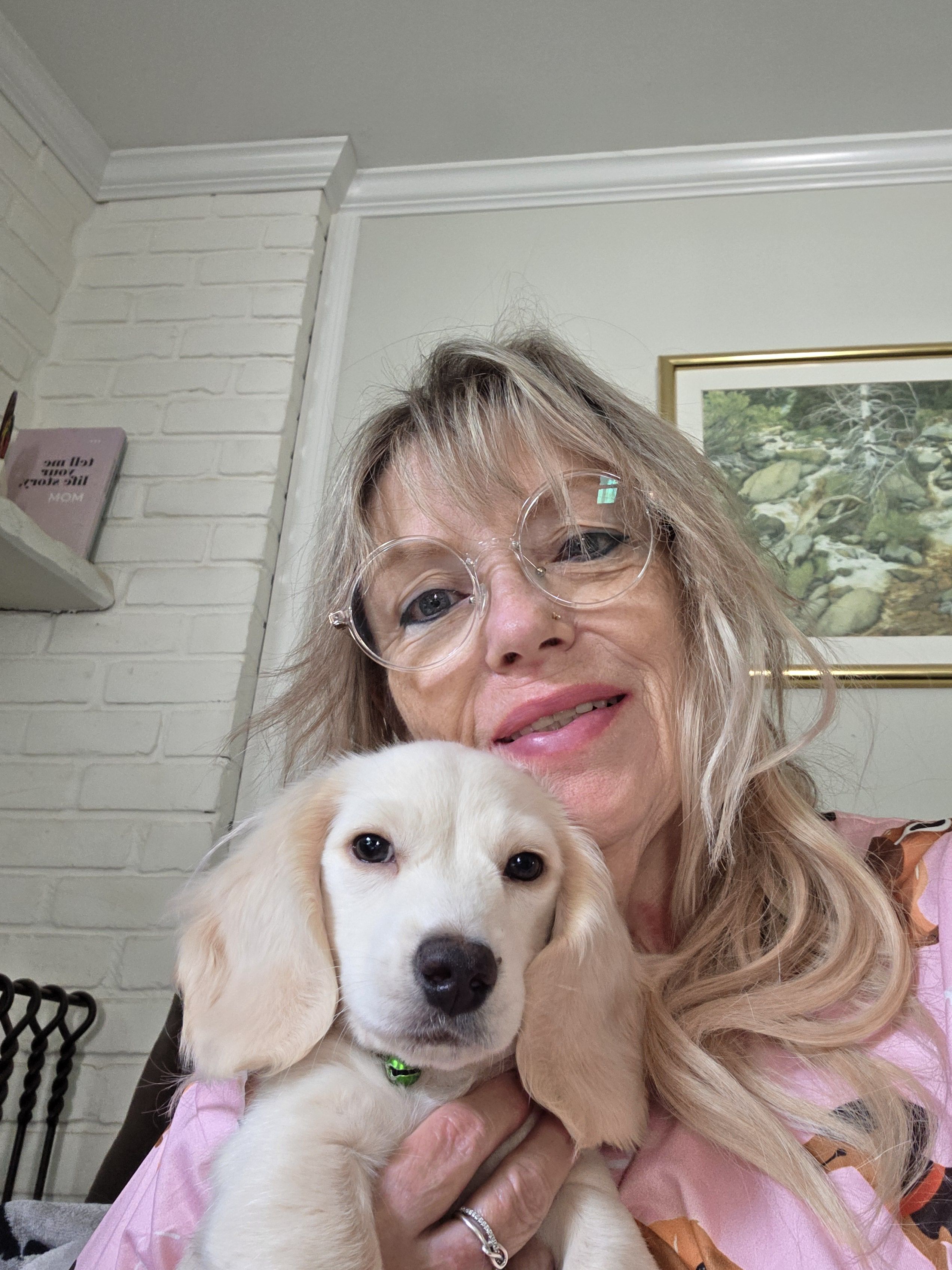 Testimonials from our Infinity Dachshund families – AKC Infinity Dachshunds