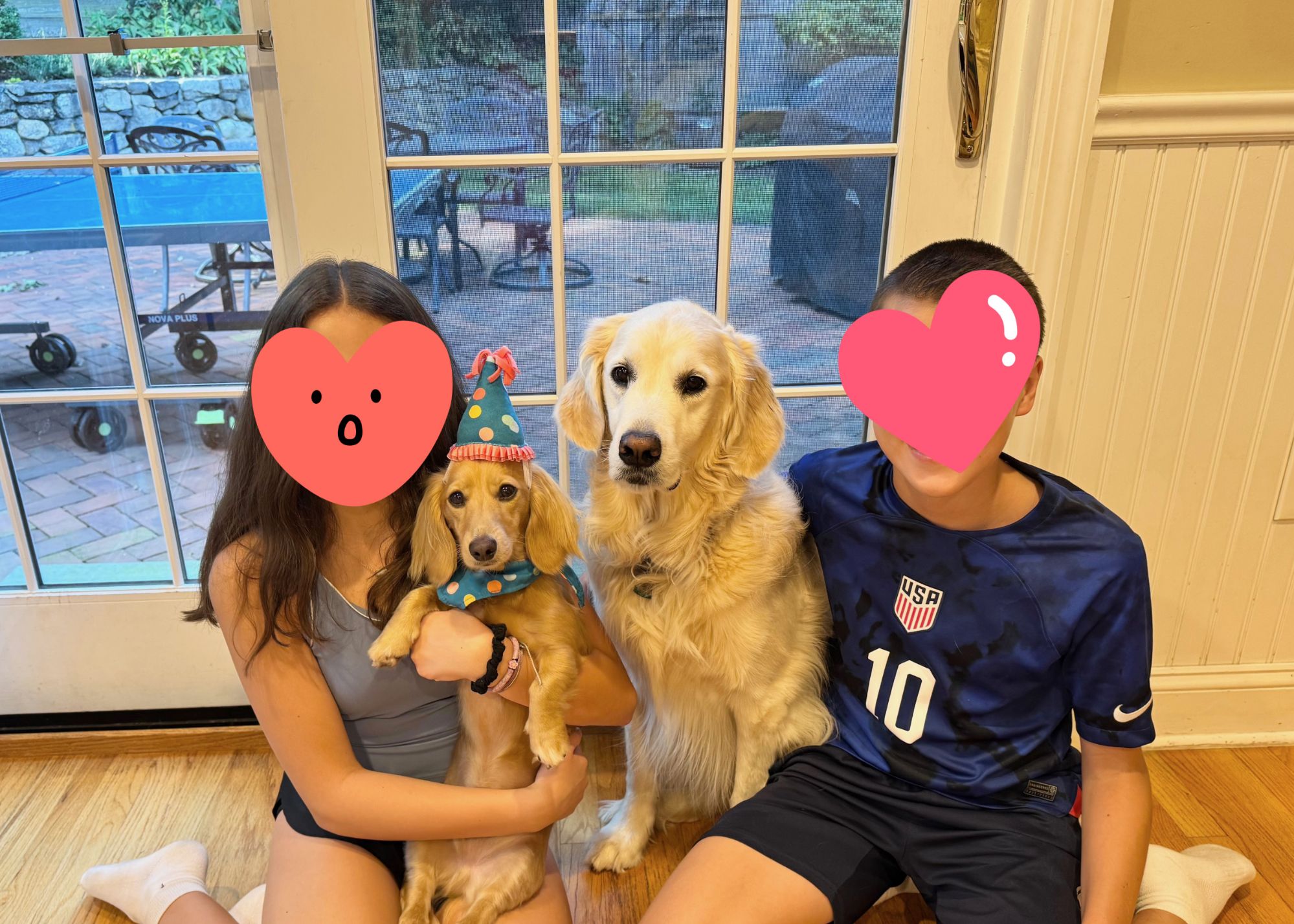 Take a Look at Our Puppy Family Gallery – AKC Infinity Dachshunds